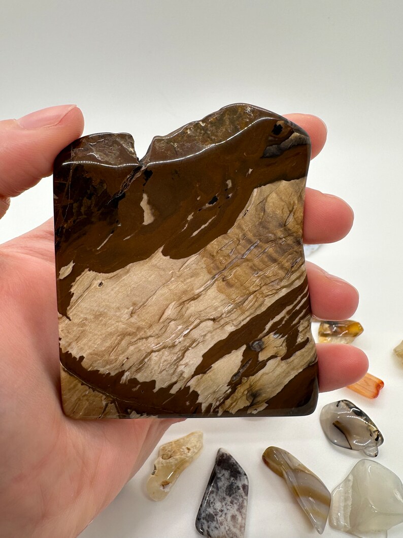 Rare Biggs Picture Jasper Slab Unique Polished Picture Jasper Slab - Etsy