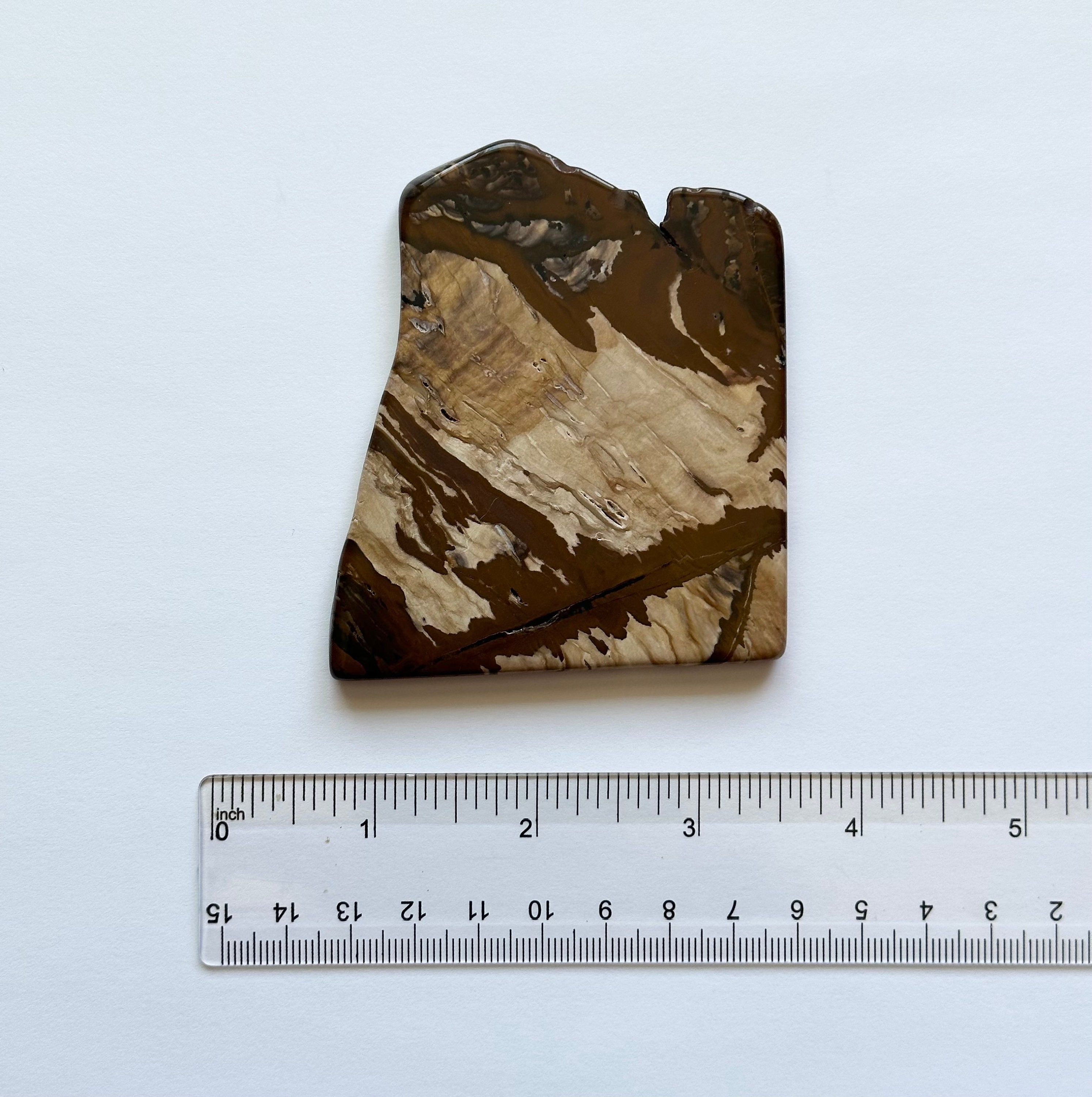 Rare Biggs Picture Jasper Slab Unique Polished Picture Jasper Slab - Etsy