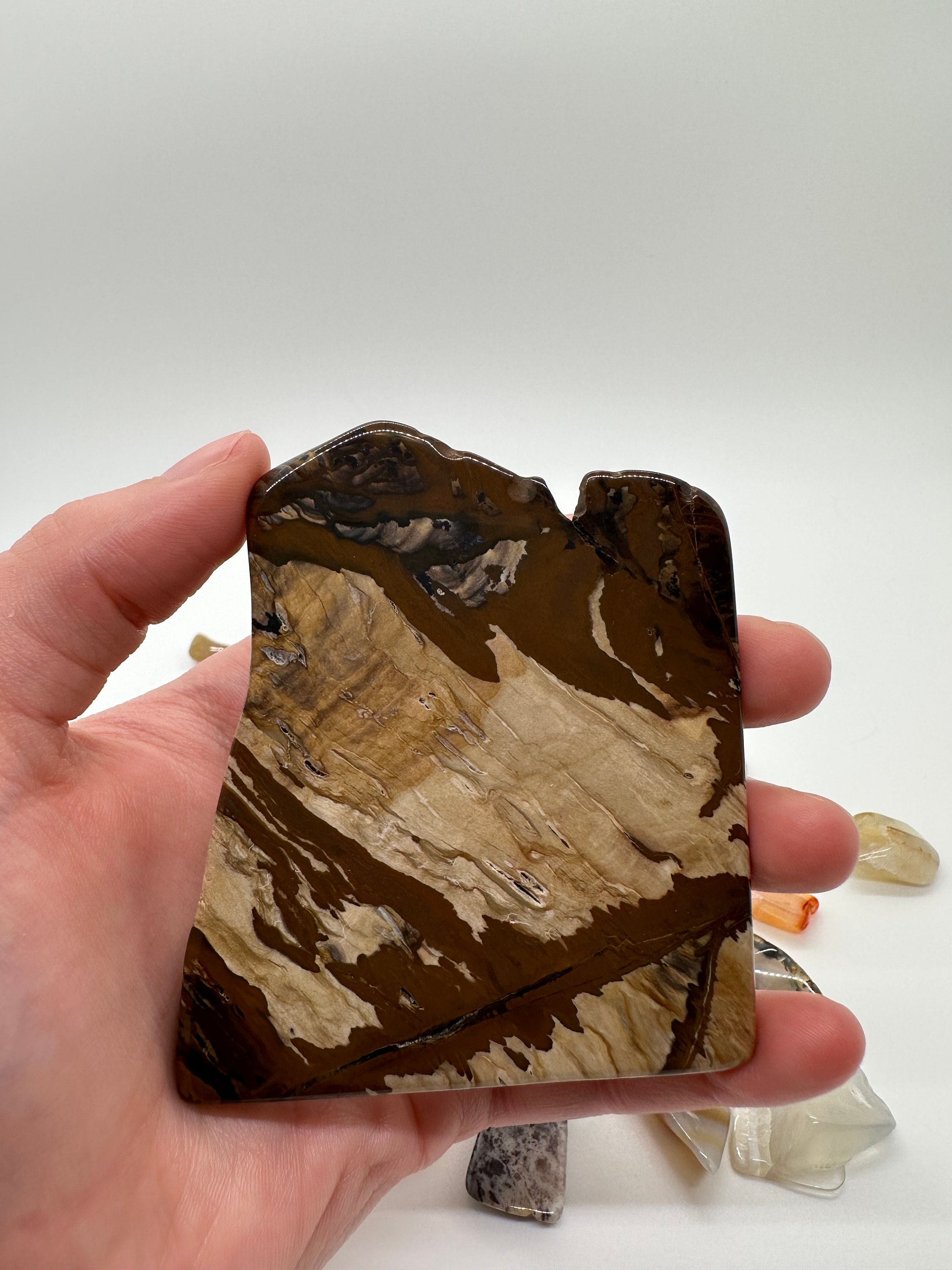 Rare Biggs Picture Jasper Slab Unique Polished Picture Jasper Slab - Etsy