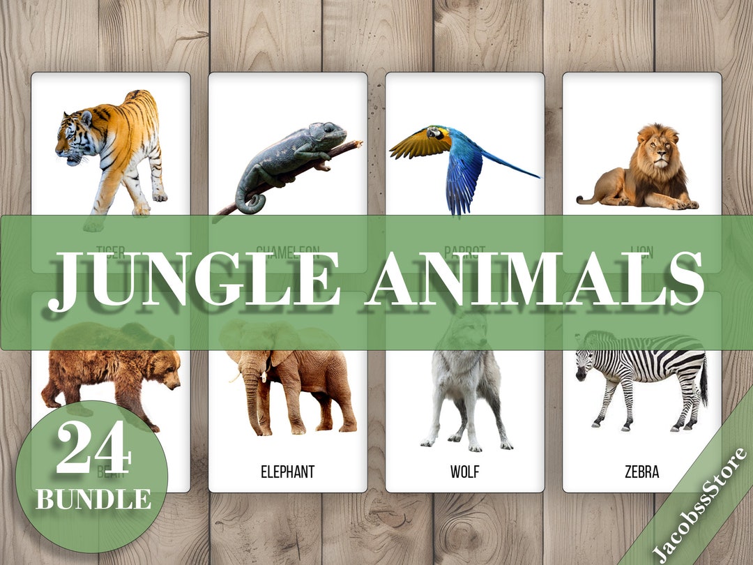 JUNGLE ANIMALS 24 Editable Flashcards for Kids Flash Cards - Etsy