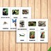 RAINFOREST ANIMALS 12 Editable Flashcards for Kids Flash Cards ...
