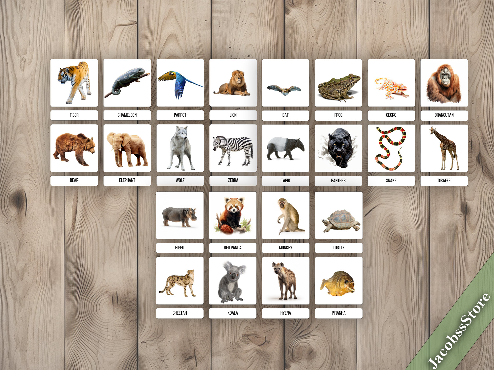 JUNGLE ANIMALS 24 Editable Flashcards for Kids Flash Cards - Etsy