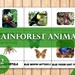 RAINFOREST ANIMALS 12 Editable Flashcards for Kids Flash Cards ...