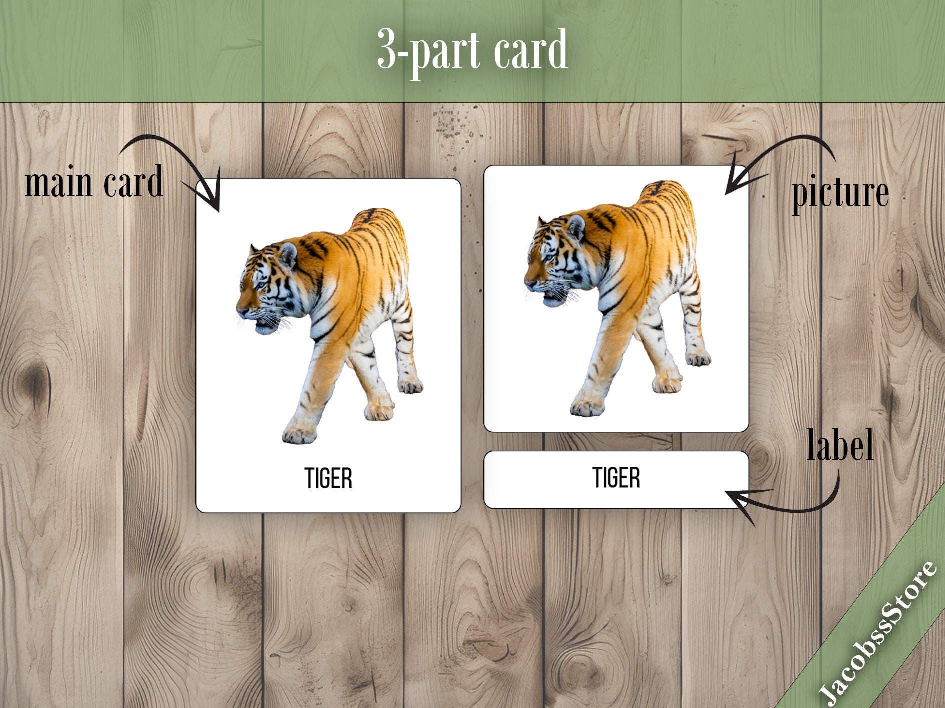 JUNGLE ANIMALS 24 Editable Flashcards for Kids Flash Cards - Etsy