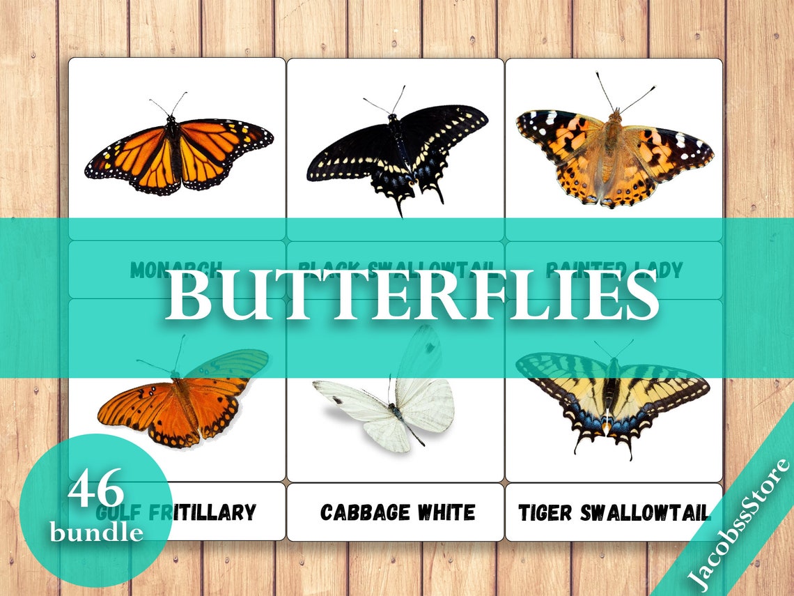 Types of BUTTERFLIES 46 Editable Flashcards for Kids Flashcards PDF ...