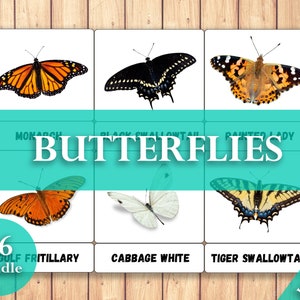 Types of BUTTERFLIES 46 Editable Flashcards for Kids Flashcards PDF ...