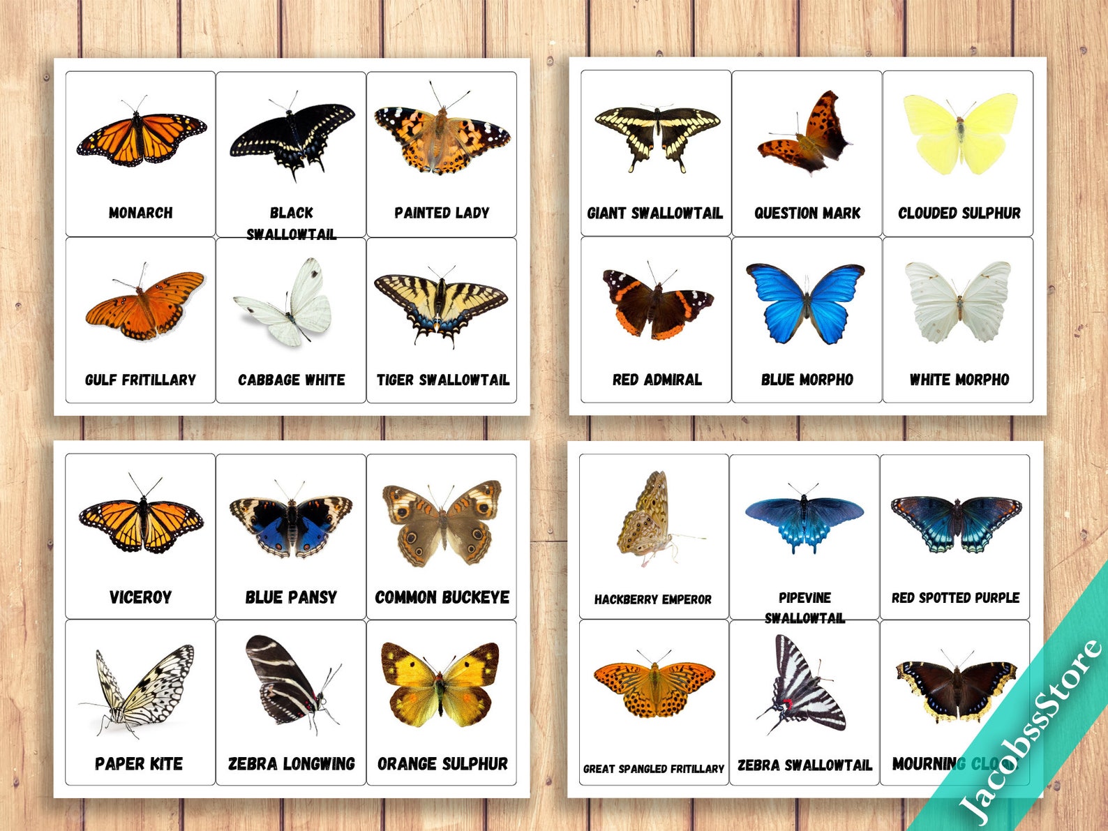 Types of BUTTERFLIES 46 Editable Flashcards for Kids Flashcards PDF ...