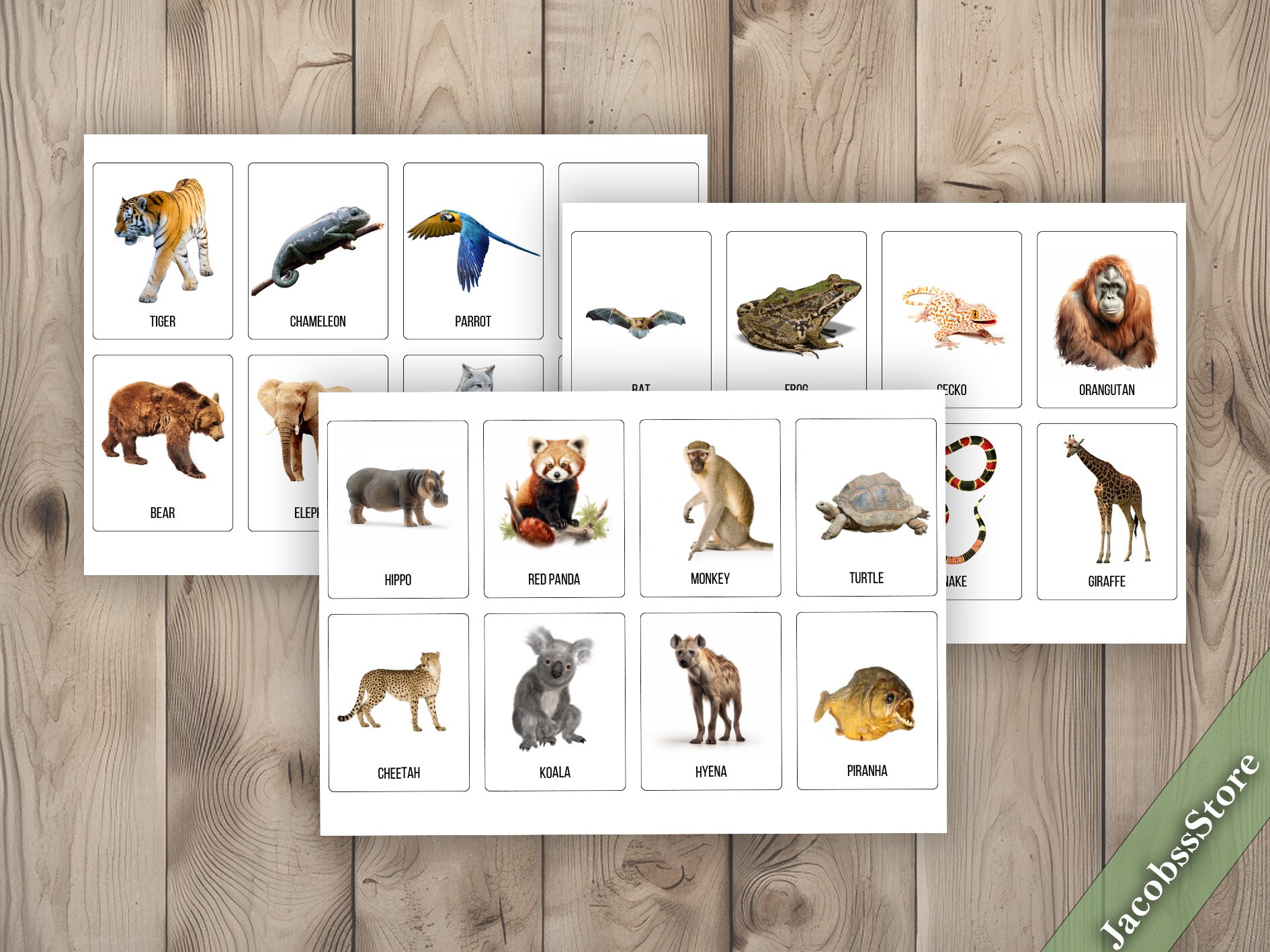 JUNGLE ANIMALS 24 Editable Flashcards for Kids Flash Cards - Etsy