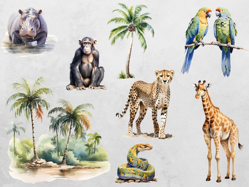 Watercolor Jungle Safari Animals, Exotic Animals, Animals Clipart ...