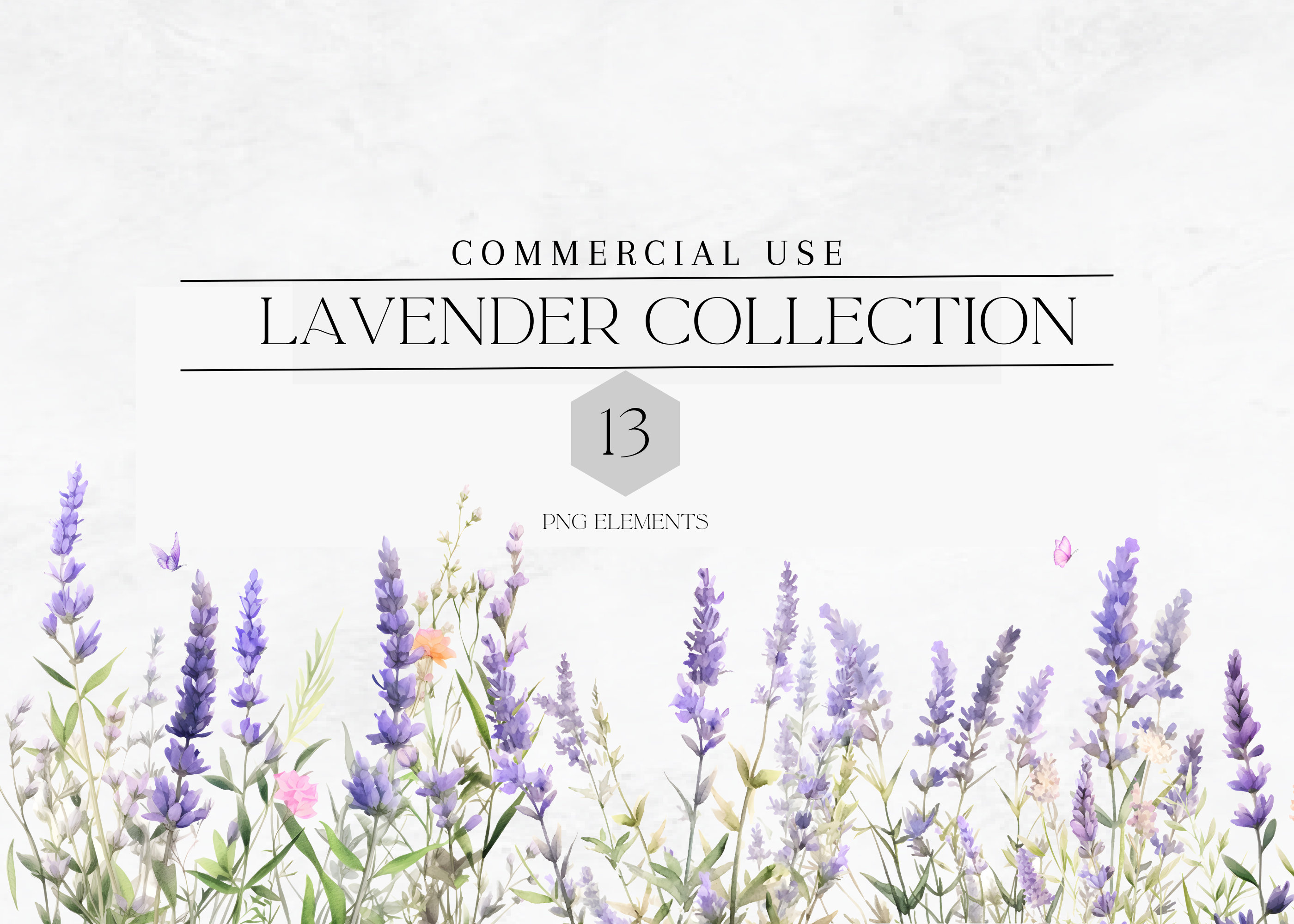 Watercolor Lavender Flower Clipart PNG, Purple Flowers, Lavender Border ...