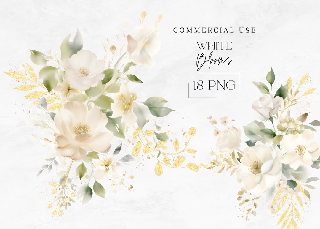 Watercolor White and Gold Floral Clipart PNG, Flower Arrangements ...