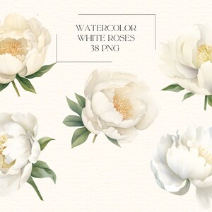 Watercolour White Gold Roses Floral Clipart Bundle, White Roses ...