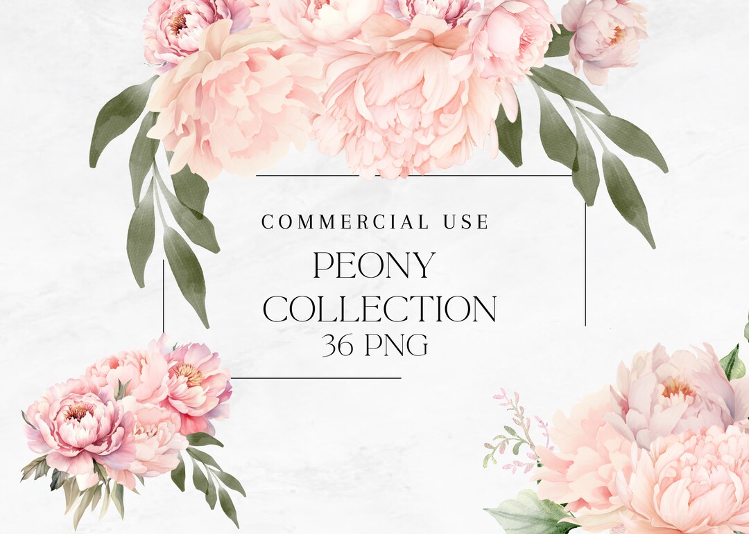 Watercolor Peony Pink Floral Clipart Bundle, Floral Watercolor Clipart ...
