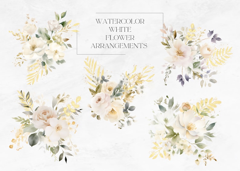 Watercolor White and Gold Floral Clipart PNG, Flower Arrangements ...