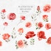 Watercolor Red Roses, Floral Clipart Bundle, Watercolor Floral Clipart ...