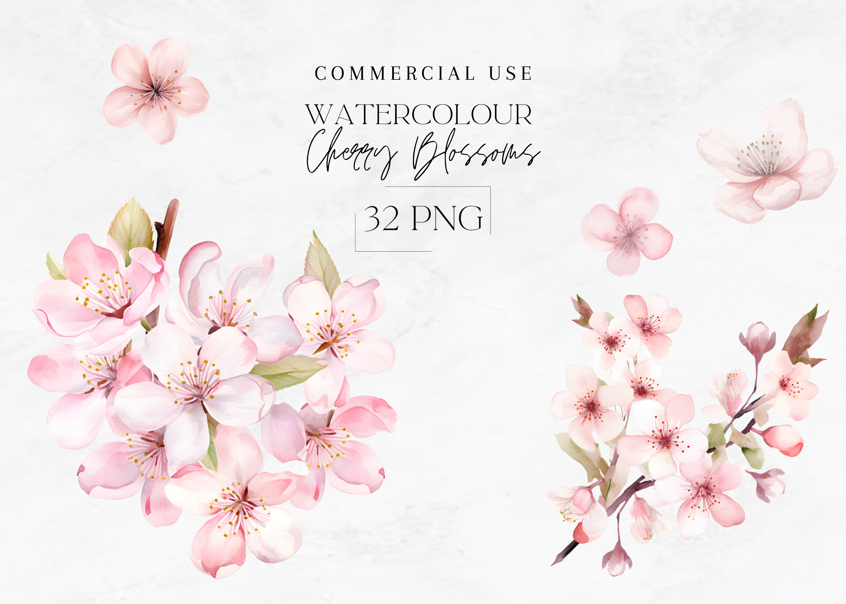 Watercolor Cherry Blossoms Clipart Floral Pink Wreaths - Etsy