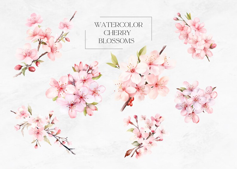 Watercolor Cherry Blossoms Clipart Floral Pink Wreaths - Etsy
