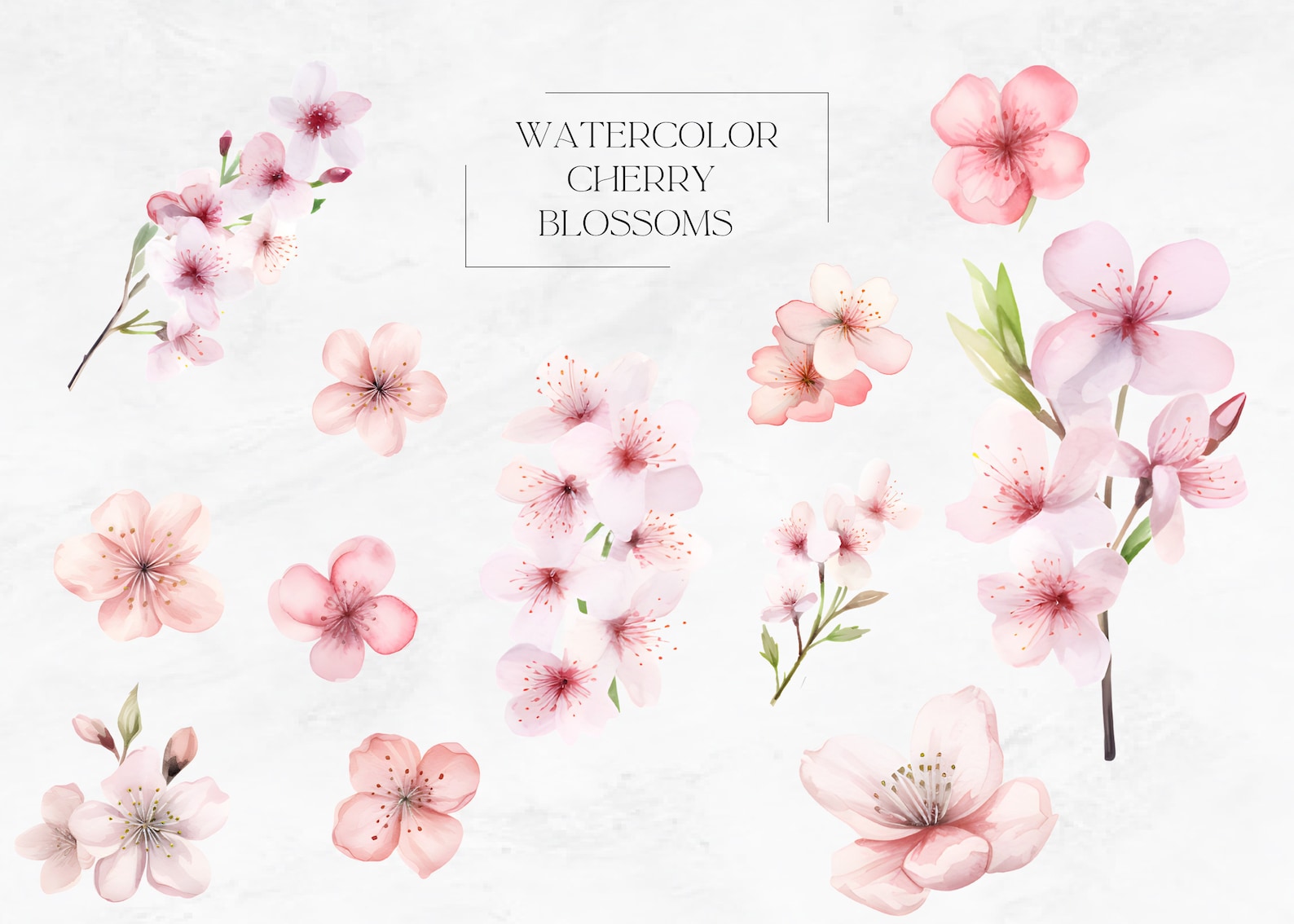 Watercolor Cherry Blossoms Clipart Floral Pink Wreaths - Etsy