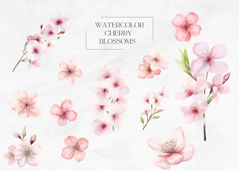 Watercolor Cherry Blossoms Clipart Floral Pink Wreaths - Etsy
