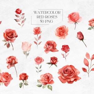 Watercolor Red Roses, Floral Clipart Bundle, Watercolor Floral Clipart ...