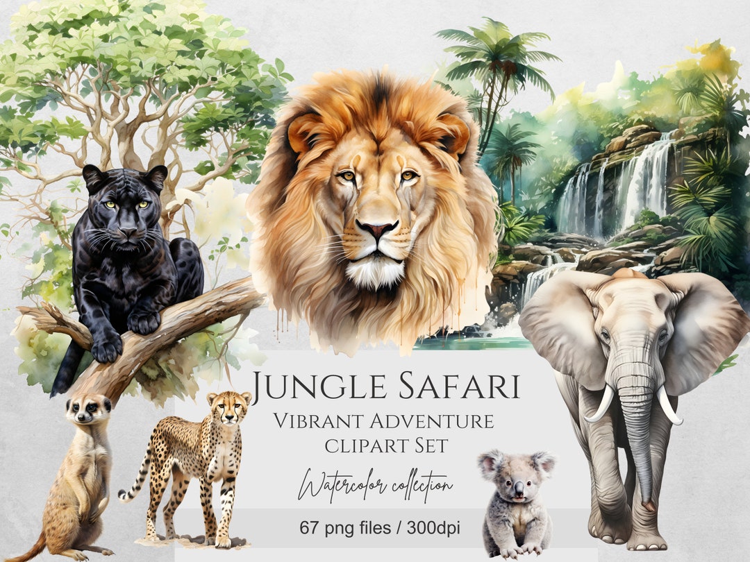 Watercolor Jungle Safari Animals, Exotic Animals, Animals Clipart ...