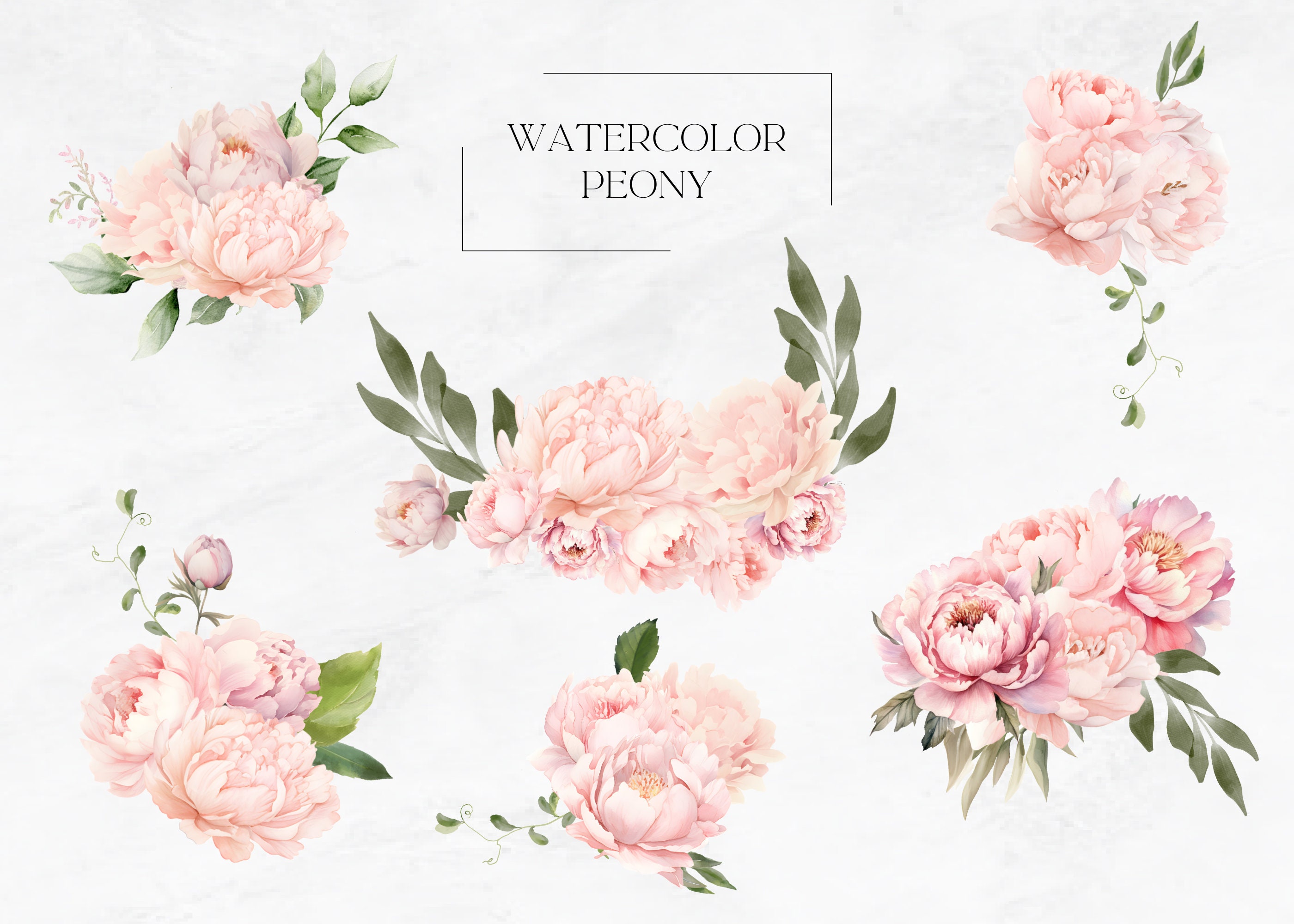 Watercolor Peony Pink Floral Clipart Bundle, Floral Watercolor Clipart ...