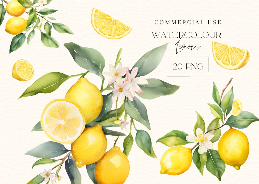 Watercolor Lemon Clipart Bundle, Lemons Bouquets Arrangments PNG ...