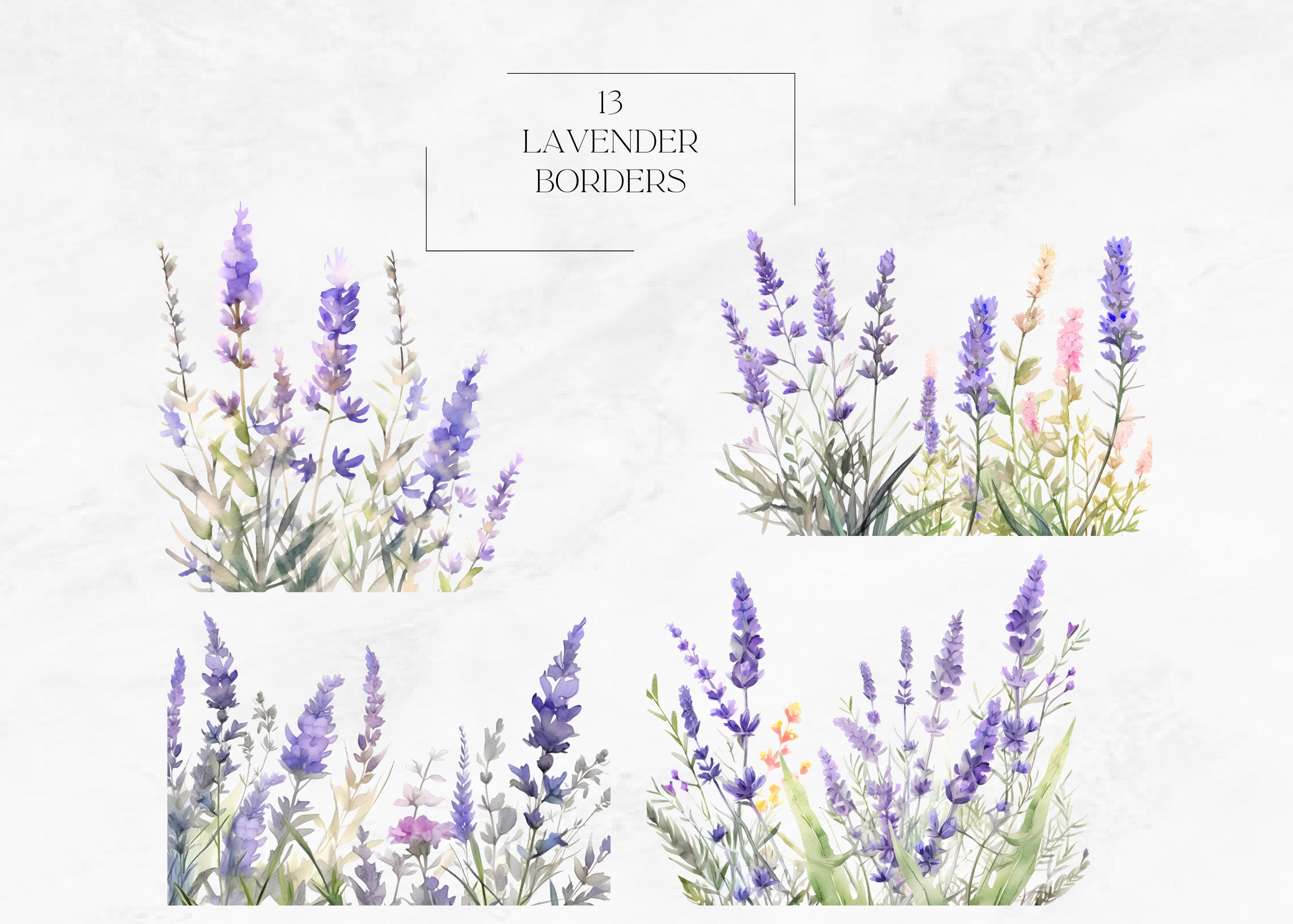 Watercolor Lavender Flower Clipart PNG, Purple Flowers, Lavender Border ...