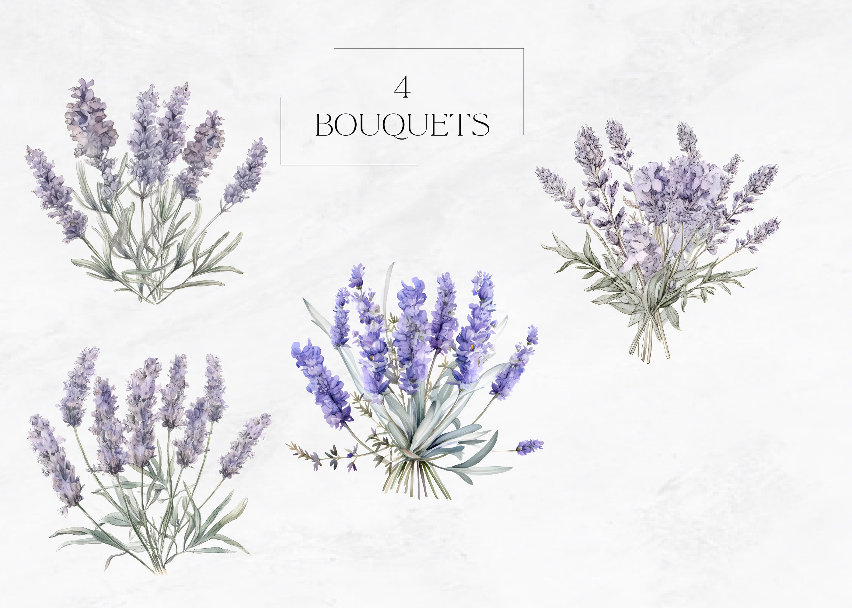 Watercolor Lavender Flower Clipart PNG, Purple Flowers, Lavender ...