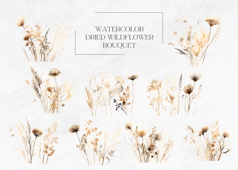 Watercolor Floral Wildflower Clipart PNG Dried Bouquet - Etsy