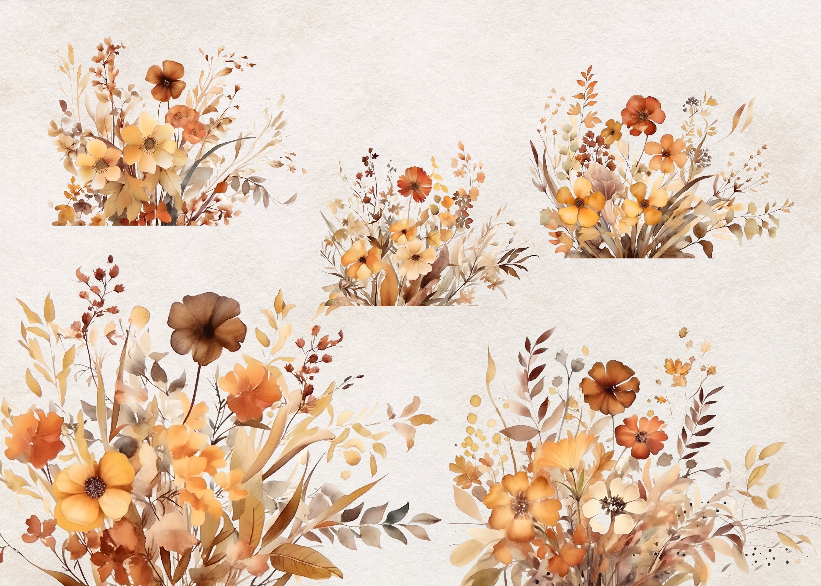 Watercolor Floral Wildflower Clipart PNG Autumn Floral - Etsy