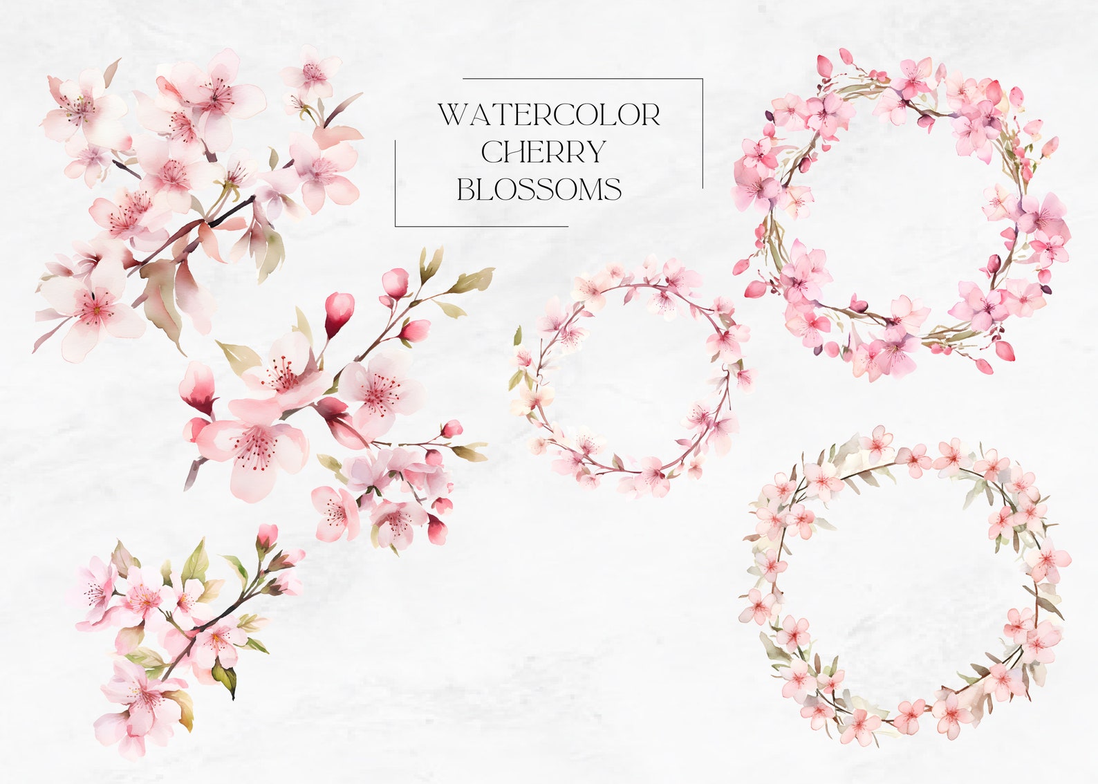 Watercolor Cherry Blossoms Clipart Floral Pink Wreaths - Etsy