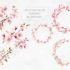 Watercolor Cherry Blossoms Clipart, Floral Pink Wreaths Clipart, Cherry ...