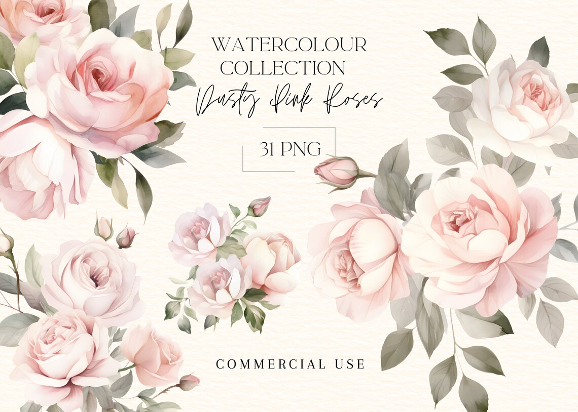 Watercolour Blush Roses Floral Clipart Bundle Dusty Roses - Etsy