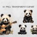 Watercolor Cute Panda Clipart Bundle, Baby Panda PNG, Nursery Decor ...