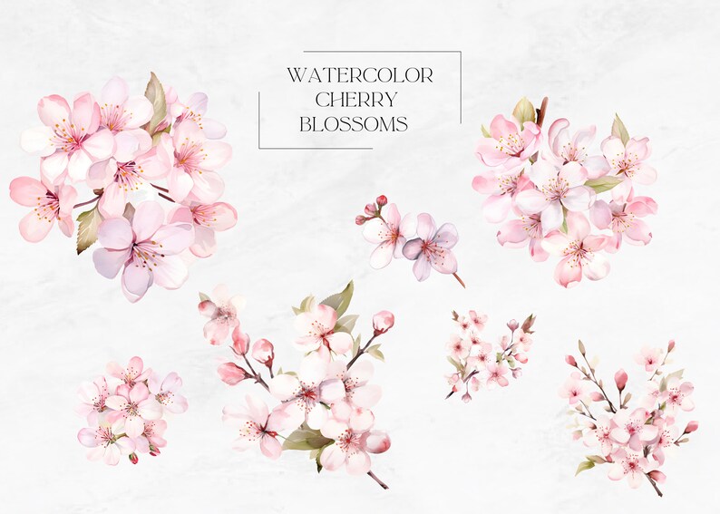 Watercolor Cherry Blossoms Clipart Floral Pink Wreaths - Etsy