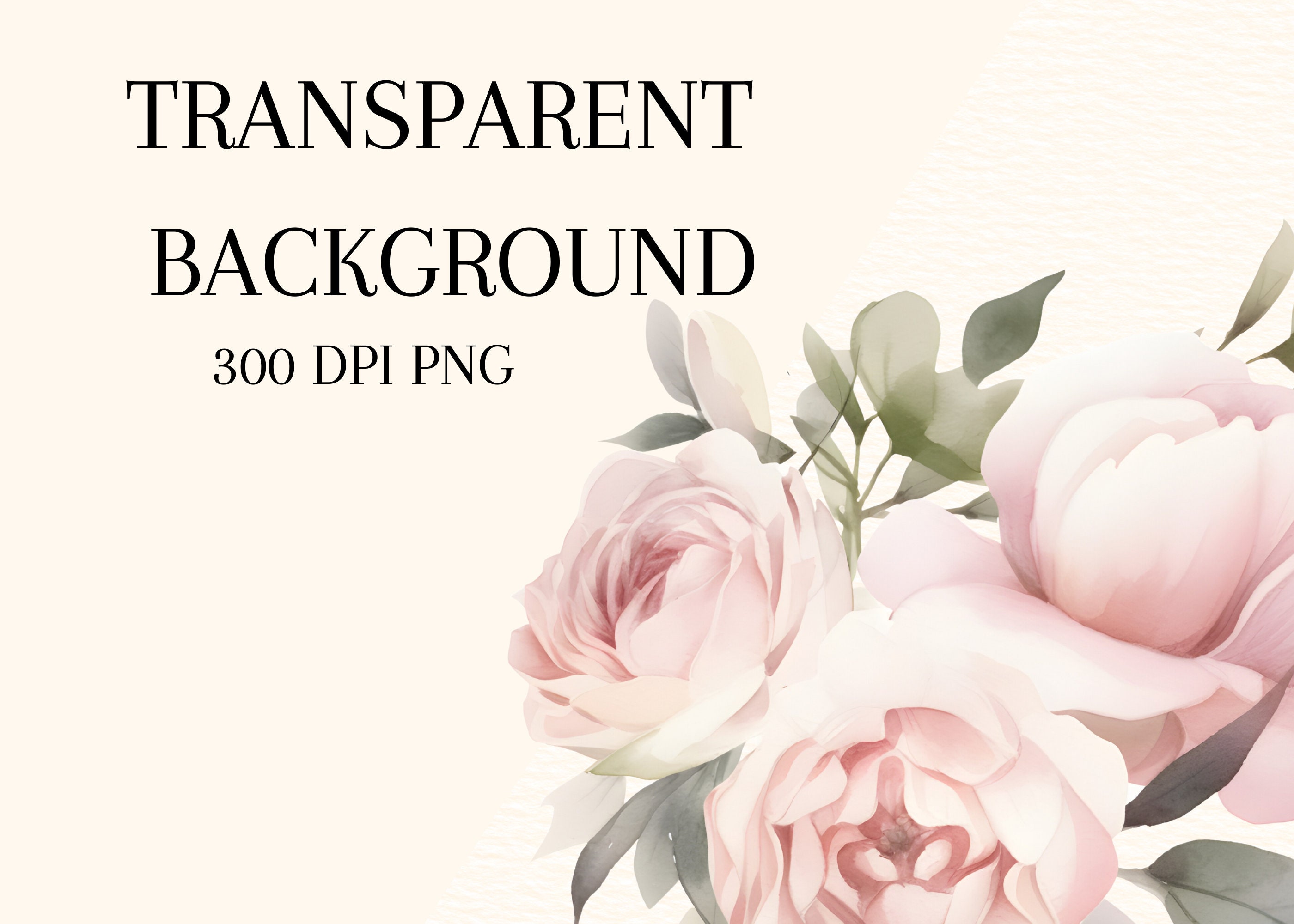 Watercolour Blush Roses Floral Clipart Bundle Dusty Roses - Etsy