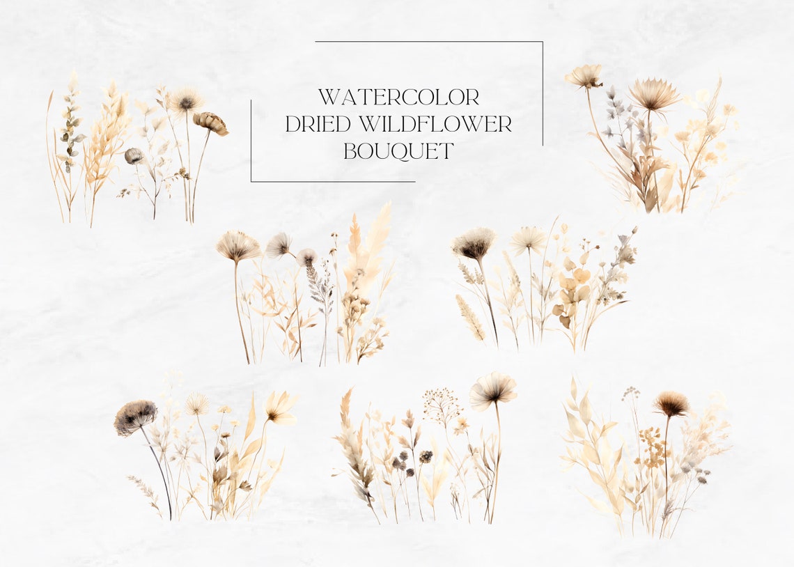 Watercolor Floral Wildflower Clipart PNG Dried Bouquet - Etsy