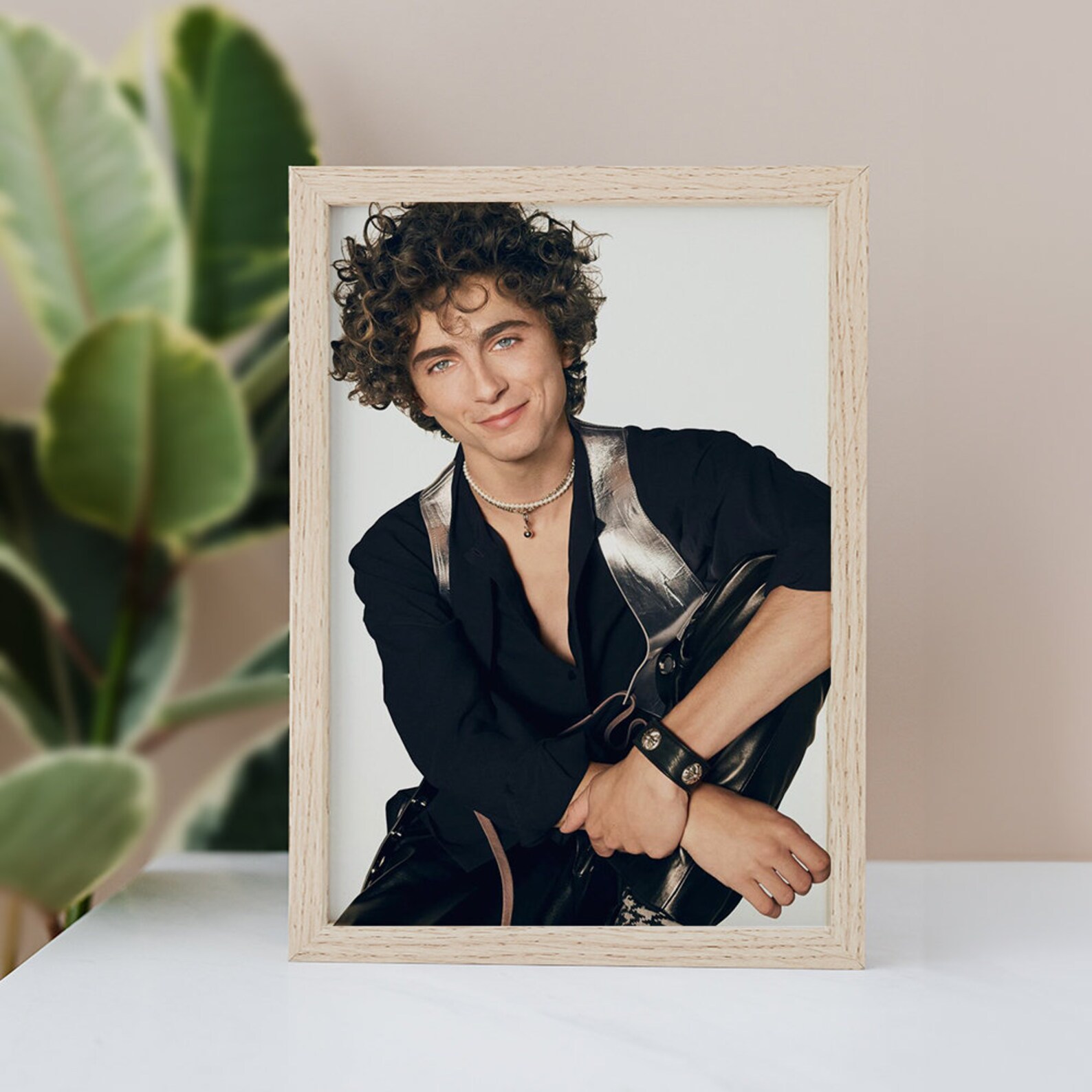 Timothee Chalamet Movie Poster PVC Package Waterproof Canvas Wall Art ...