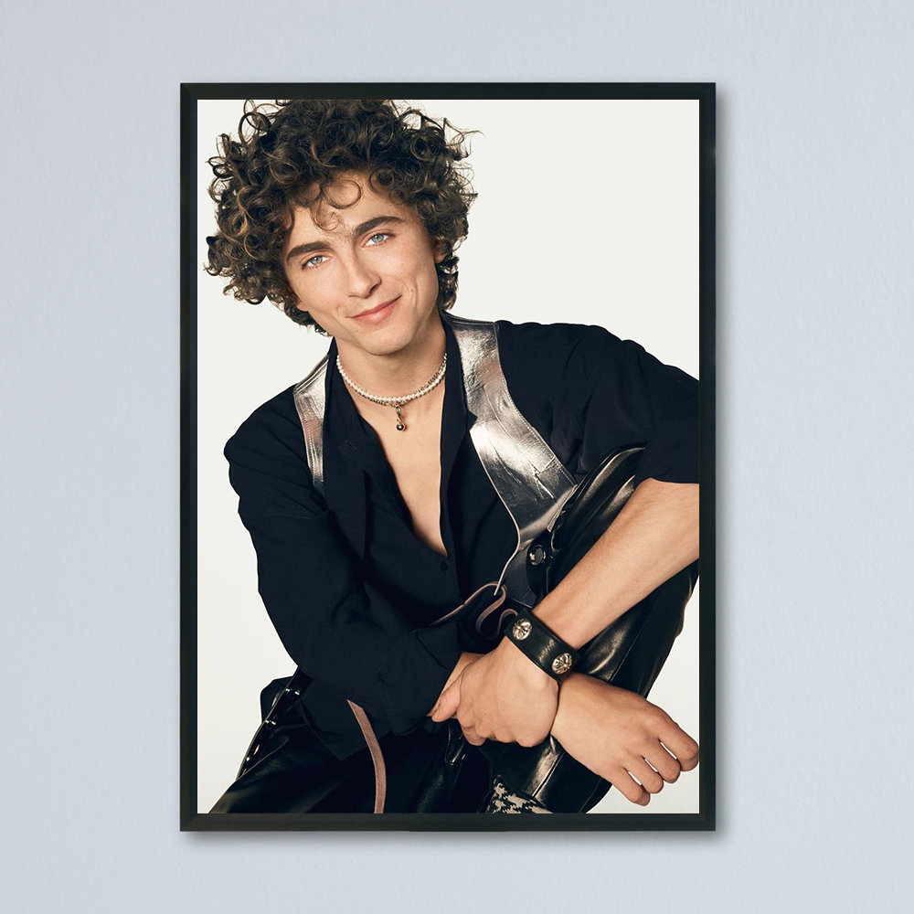 Timothee Chalamet Movie Poster PVC Package Waterproof Canvas Wall Art ...