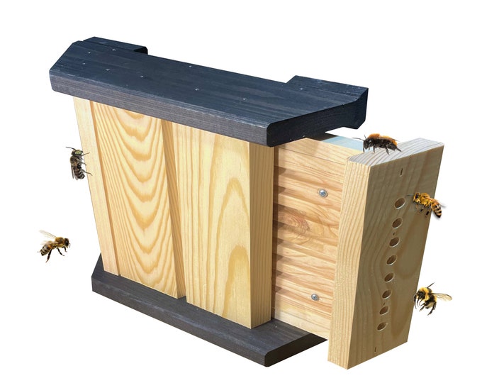 Solitary Bee Hive With Hinged Roof, Perspex Viewing Window and ...