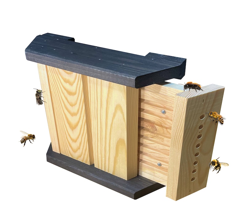 Airbee&bee Pollinator Hotel Interactive Home Pollinators Watch Bees ...