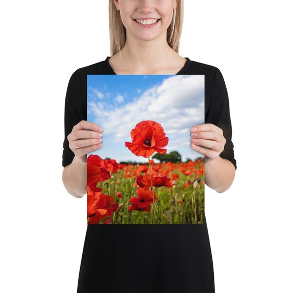 Poppy Poster - Etsy UK