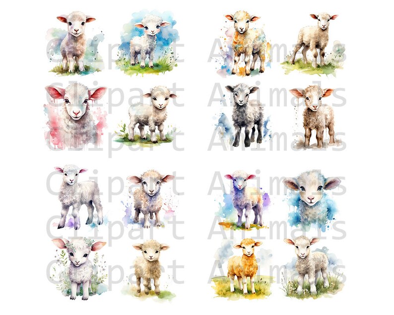 Watercolor Lambs Clipart Set - 32 High-quality PNG Files - Transparent ...