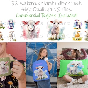 Watercolor Lambs Clipart Set - 32 High-quality PNG Files - Transparent ...