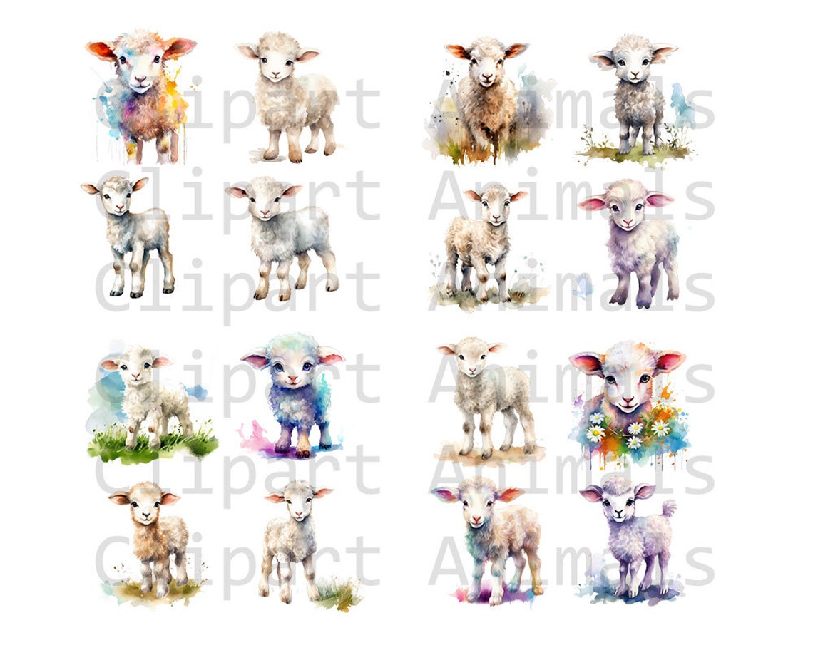 Watercolor Lambs Clipart Set - 32 High-quality PNG Files - Transparent ...