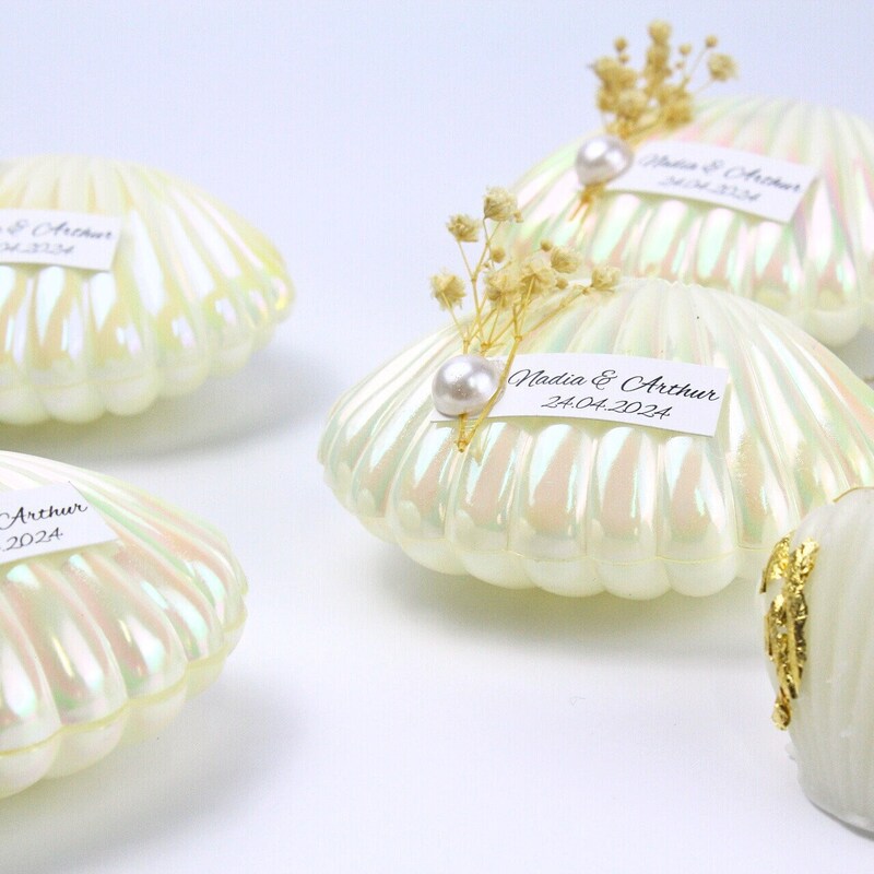 Seashell Favors - Etsy