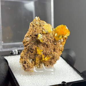 Yellow Wulfenite on Matrix, Wulfenite Crystals From Mexico, Case ...