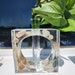 Sea Shell Plant Propagation Stand - Etsy