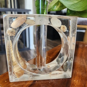Sea Shell Plant Propagation Stand - Etsy
